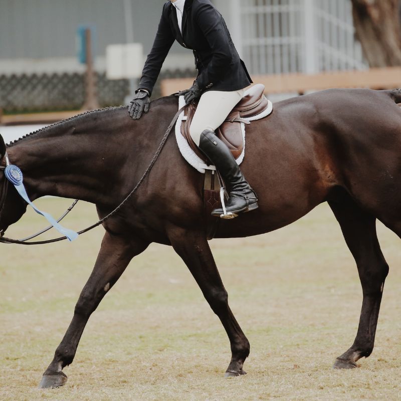 All-Purpose Saddles – The Saddle Company